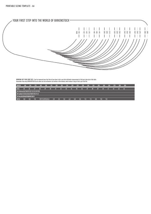 Birkenstock Shoe Size Chart Printable Pdf Download