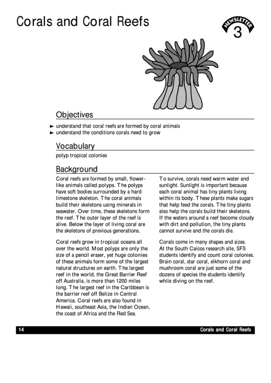 Coral Reefs Worksheet printable pdf download