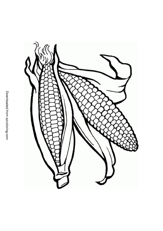 Corn Coloring Sheet printable pdf download