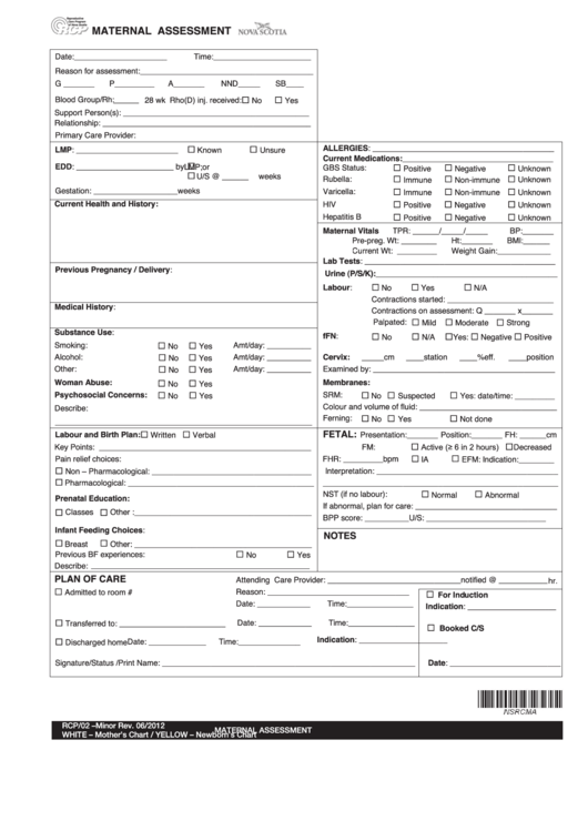 Maternal Assessment Form printable pdf download