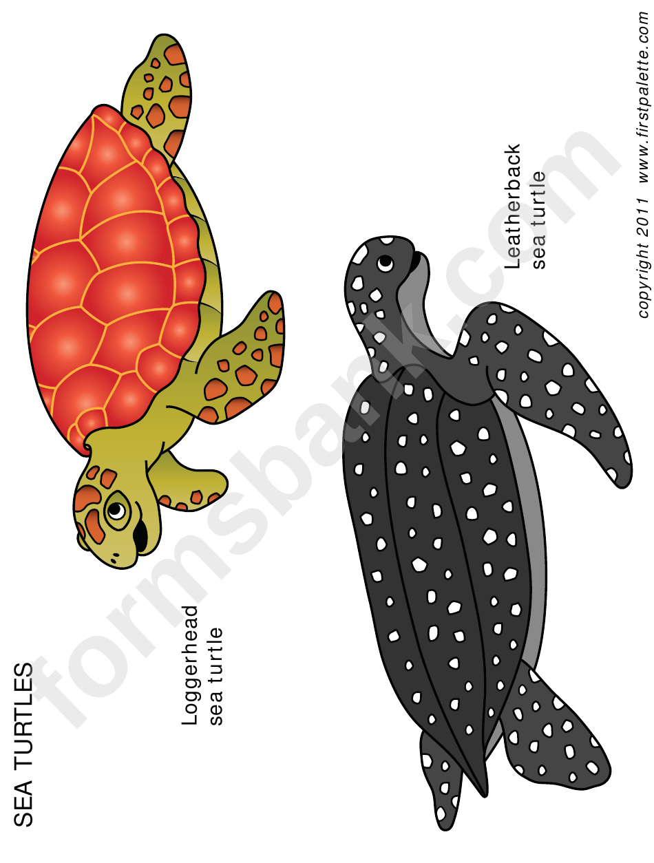 Coloring Sheet - Turtle printable pdf download