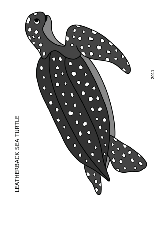 Coloring Sheet - Turtle printable pdf download