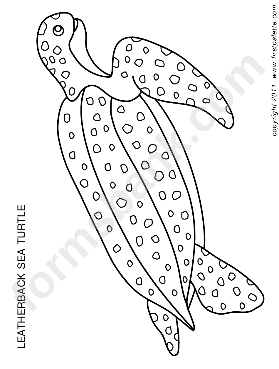 Coloring Sheet - Turtle printable pdf download