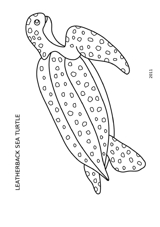Coloring Sheet - Turtle printable pdf download