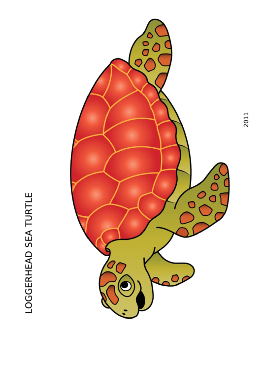 Coloring Sheet - Turtle printable pdf download