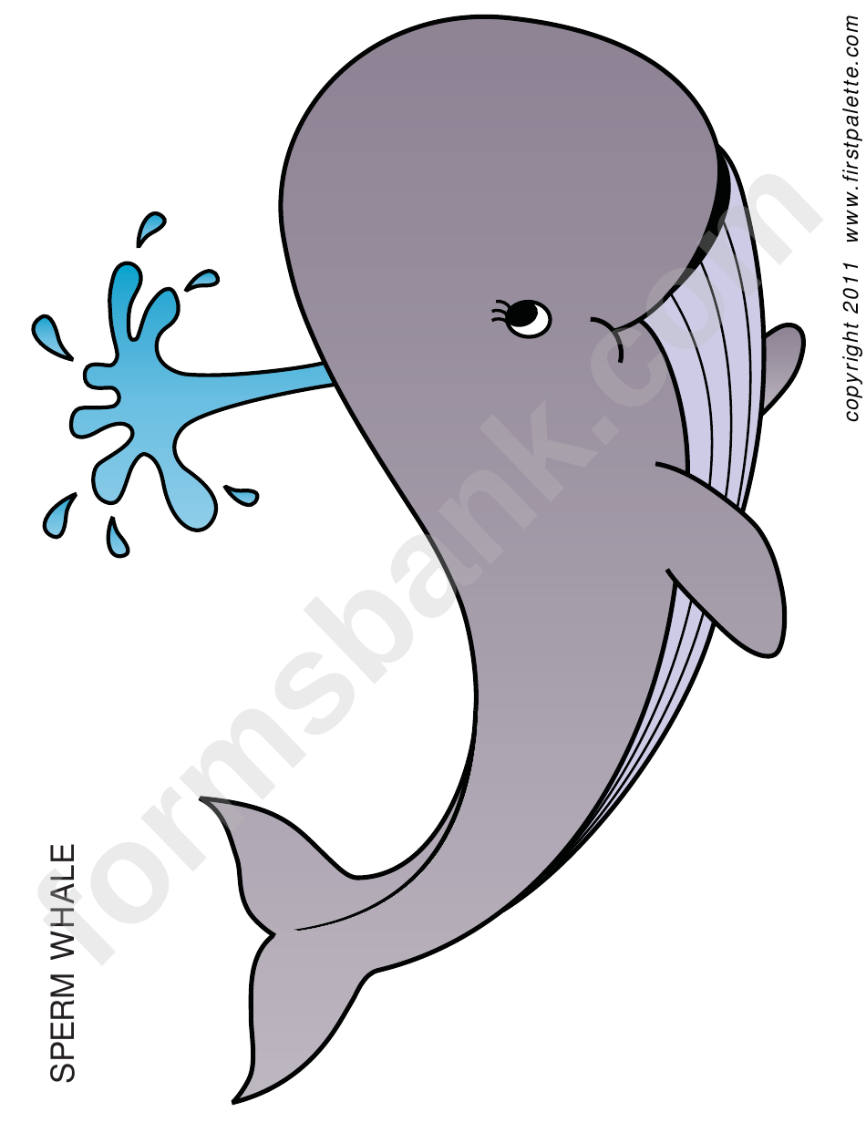 Sperm Whale Sheet printable pdf download