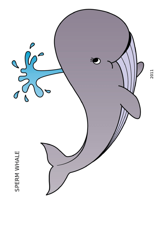 Sperm Whale Sheet printable pdf download