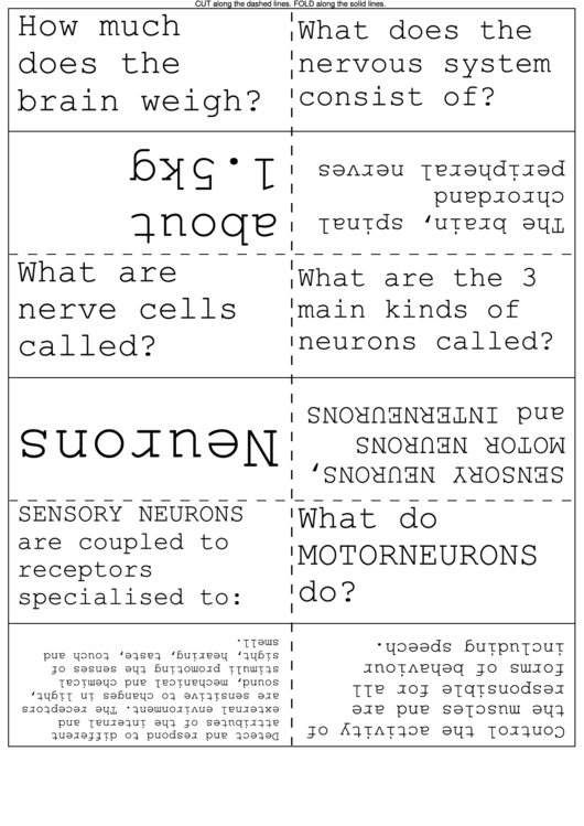 Flash Card Template printable pdf download