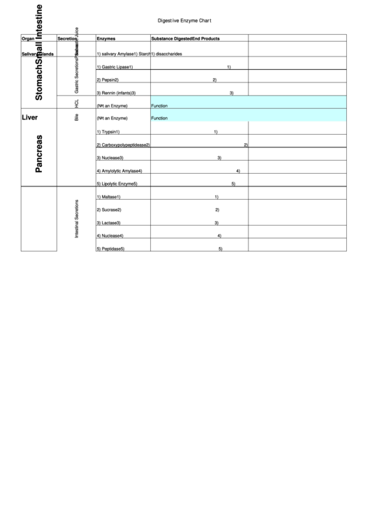 Digestive Enzyme Chart printable pdf download