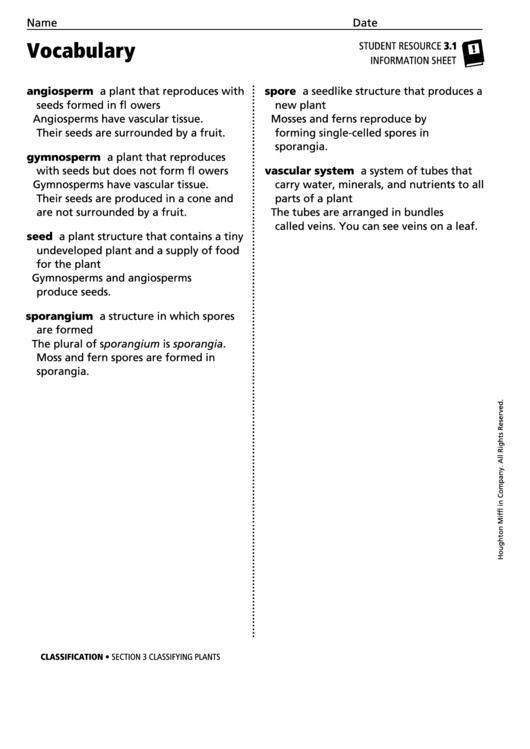 Vocabulary - Classifying Plants printable pdf download