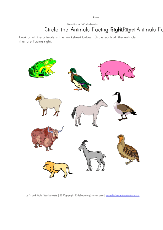 Circle The Animals Facing Right Relational Worksheet printable pdf download