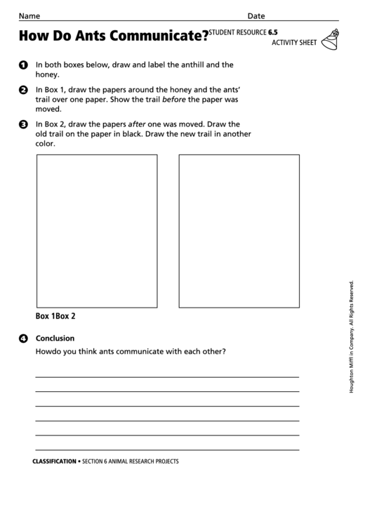 How Do Ants Communicate Activity Sheet printable pdf download