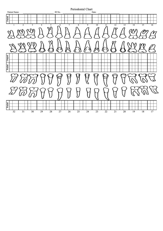 Periodontal Chart printable pdf download
