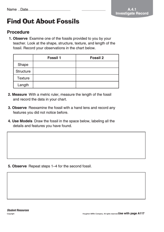 Find Out About Fossils Geology Worksheet printable pdf download