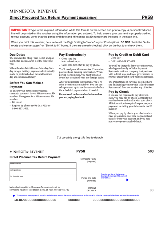 Fillable Form Pv58 - Direct Procured Tax Return Payment printable pdf ...