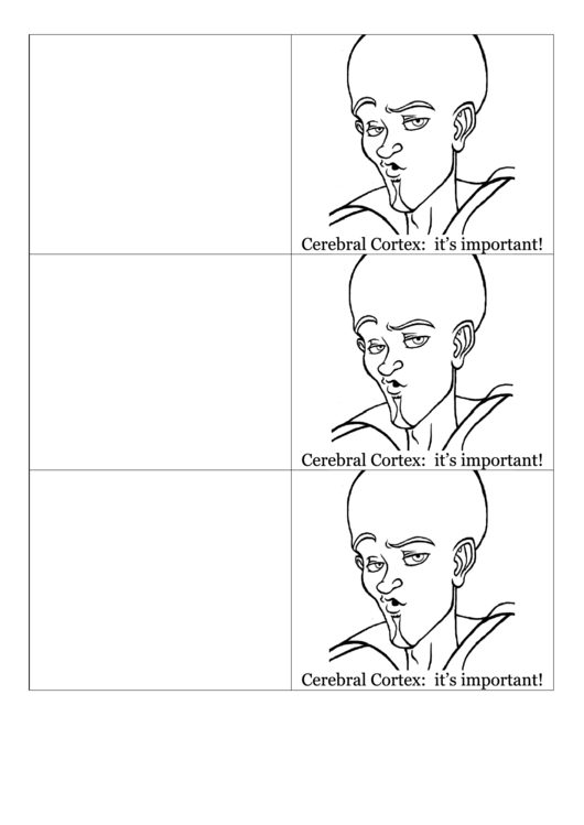 Cerebral Cortex Biology Flashcard Template printable pdf download