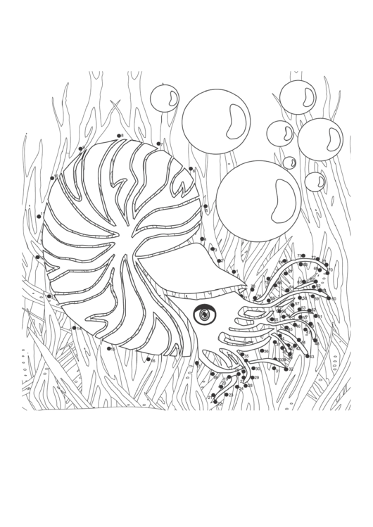 Shell Fish Dot-To-Dot Sheet printable pdf download