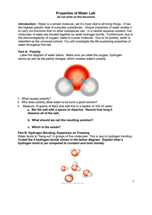 Properties Of Water Lab Class Set Printable Pdf Download