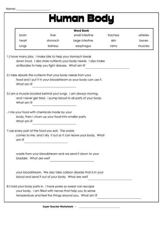 Human Body Worksheet With Answer Key Printable Pdf Download