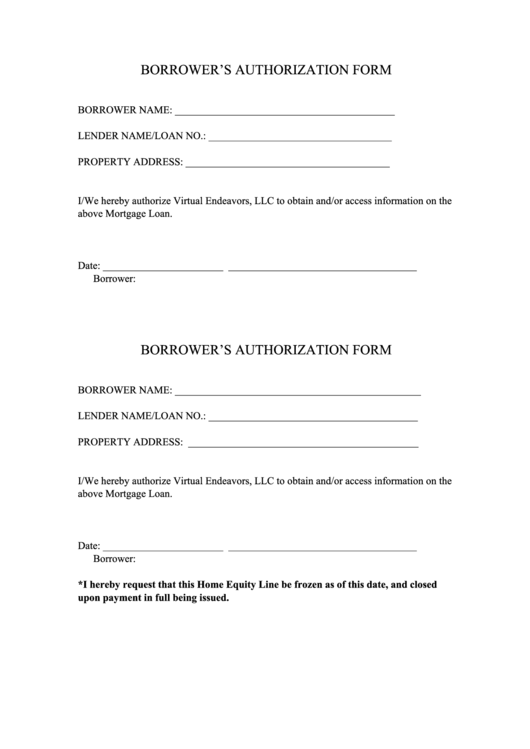 Borrower S Authorization Form Printable Pdf Download