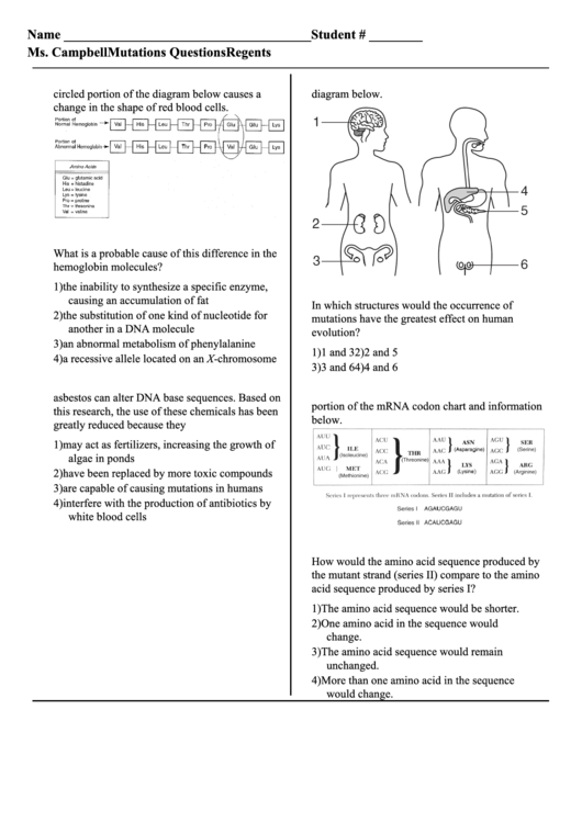 Mutations Questions printable pdf download